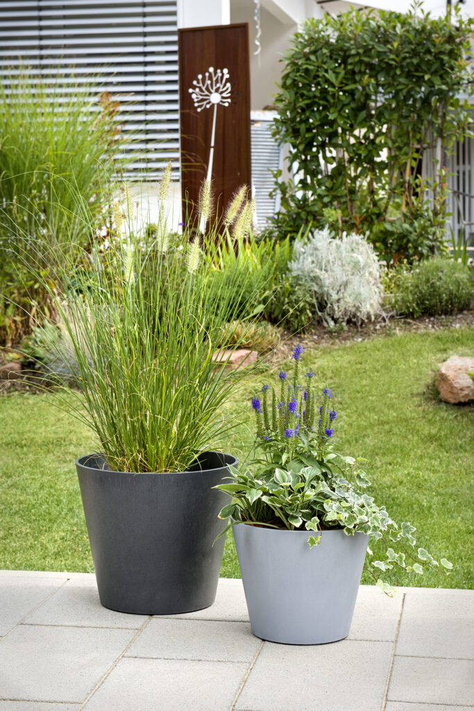 Purista+ - Scheurich