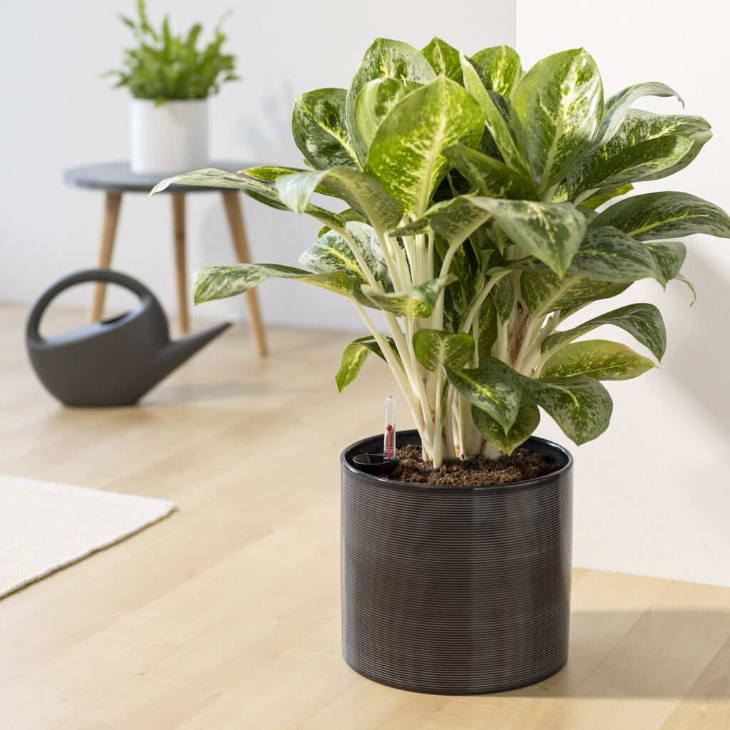 828 Watering System - Scheurich