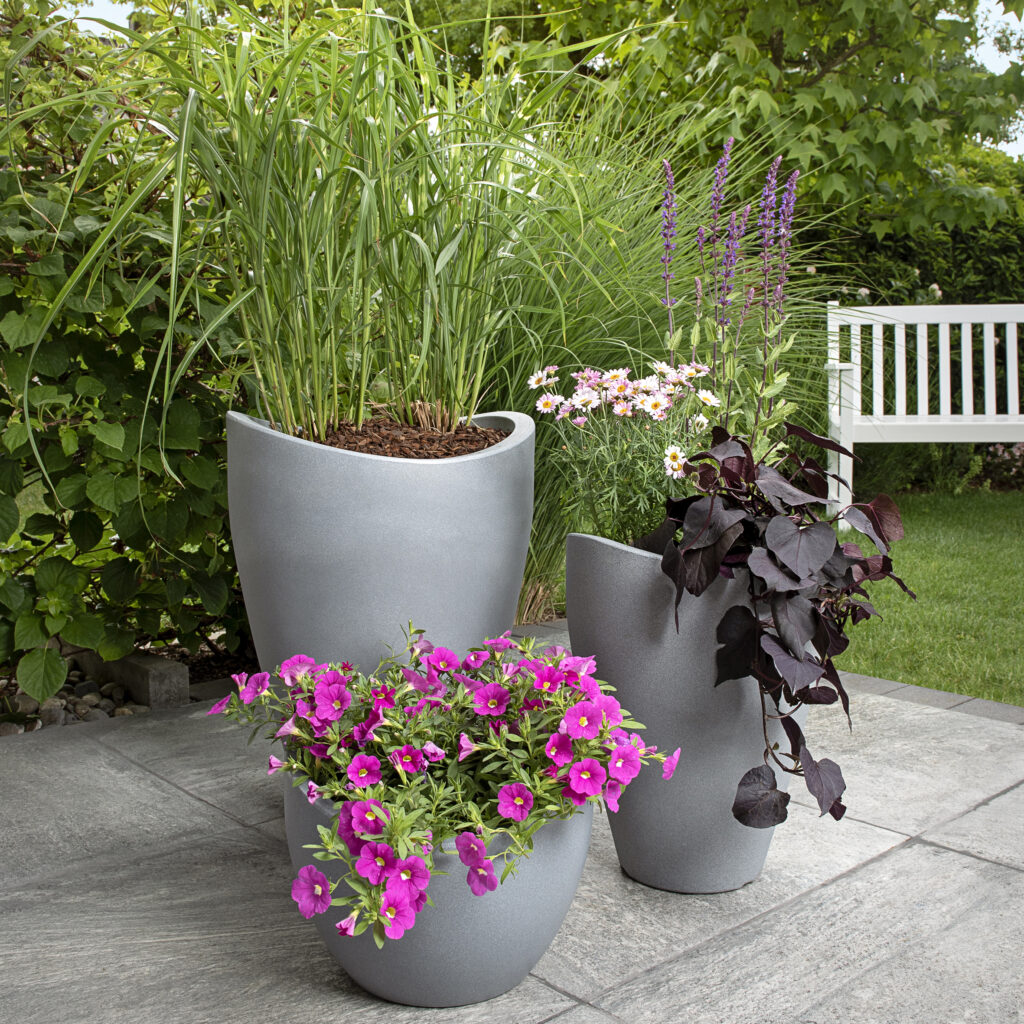 Wave Globe - Scheurich